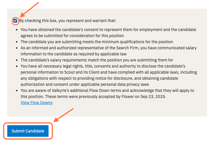 Submitting Candidates: A Step-by-Step Guide – Scout